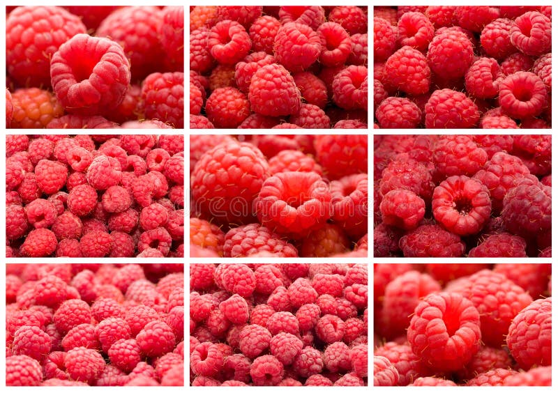 Raspberries stock photo. Image of raspberries, sweet - 36242072
