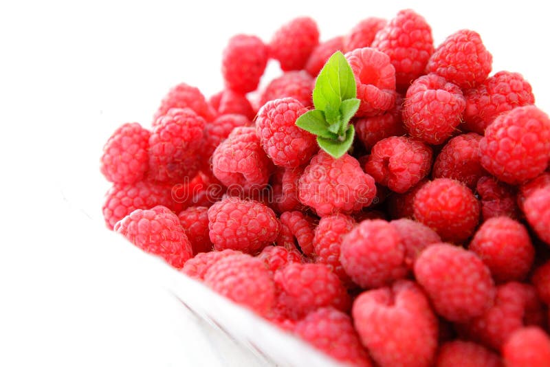 Raspberries with mint stock image. Image of mint, organic - 20017507