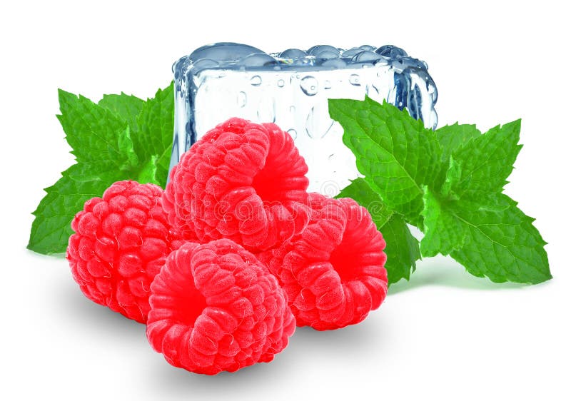 Raspberries with Mint and Ice Stock Image - Image of leaf, spearmint ...