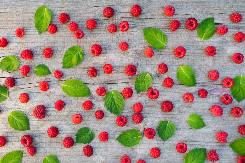 Raspberries and Mint Leaves Stock Image - Image of juicy, summer: 71063199