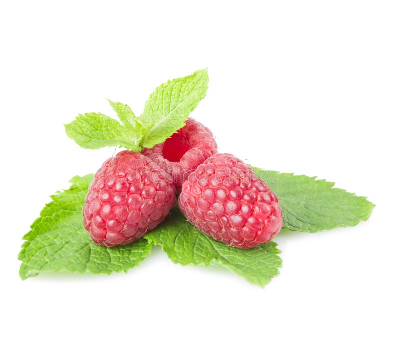 Raspberries and Mint Leaves on a White Background. Isolated Stock Photo ...