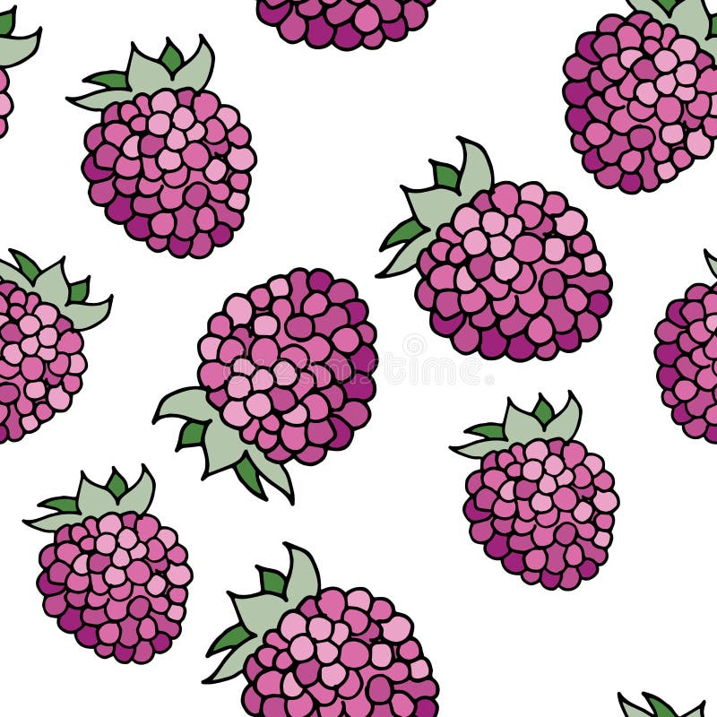 Raspberries pattern stock vector. Illustration of fabric - 58408526