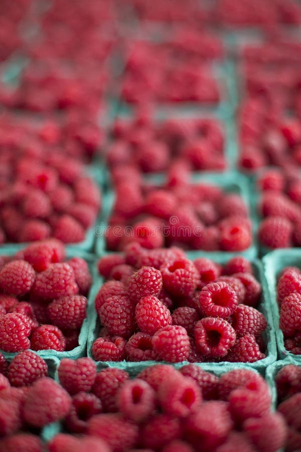 Raspberries stock photo. Image of agriculture, nutritious - 33421994