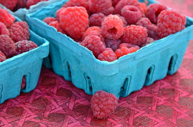 Raspberries in Produce Boxes Stock Photo - Image of edible, crop: 25784366