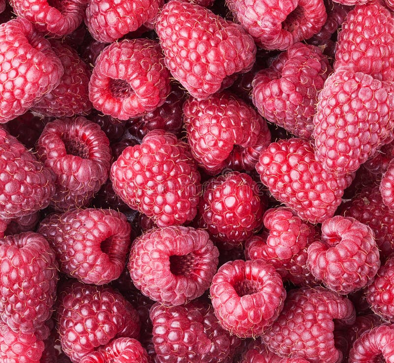 Black raspberries closeup stock image. Image of fruit - 120977617