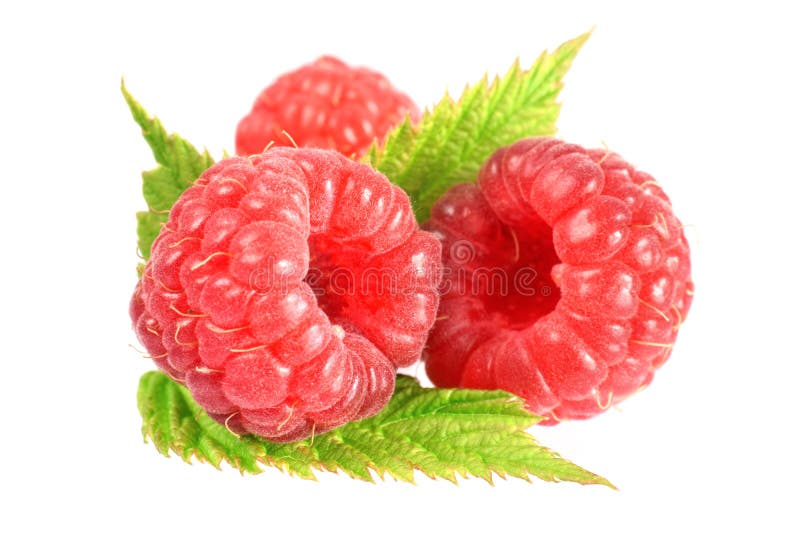 Raspberries Ripe in Group with Leaves Isolated on White Stock Photo ...