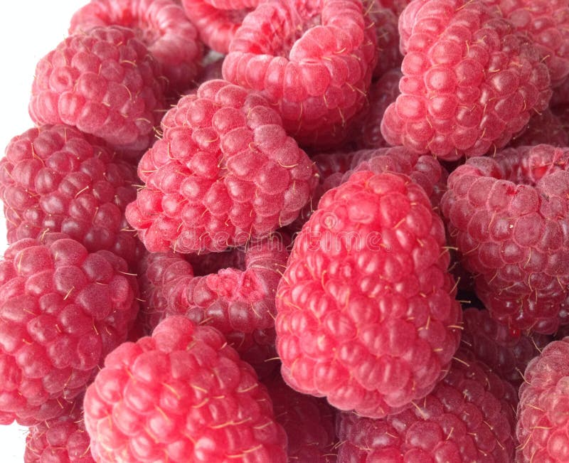 Raspberries stock image. Image of berries, berry, taste - 45503479