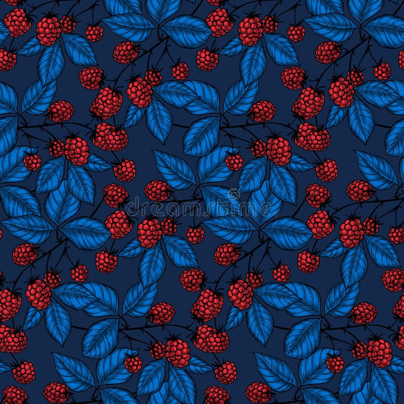 Raspberries Seamless Pattern Stock Vector - Illustration of delicious ...