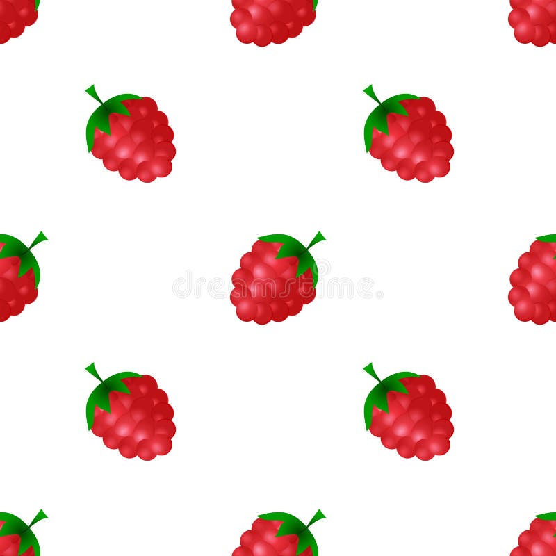 Raspberries Seamless Pattern. Vector Illustration. Stock Vector ...
