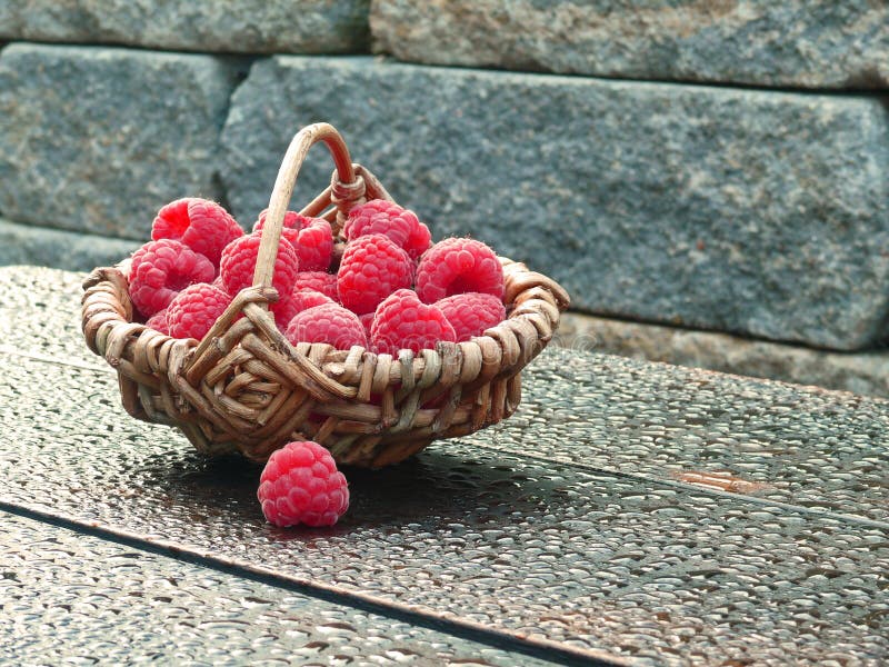 Raspberries stock image. Image of design, raspberries - 44989317