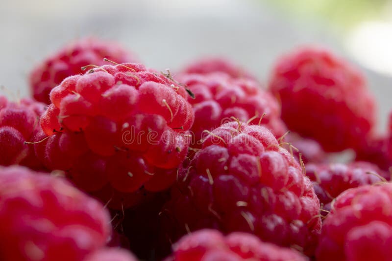Raspberries in Summer Macro Photography on a Dark Background Stock ...