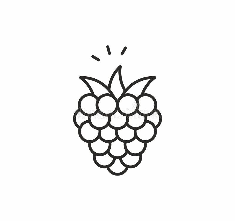 Raspberries Line Stock Illustrations – 1,122 Raspberries Line Stock ...