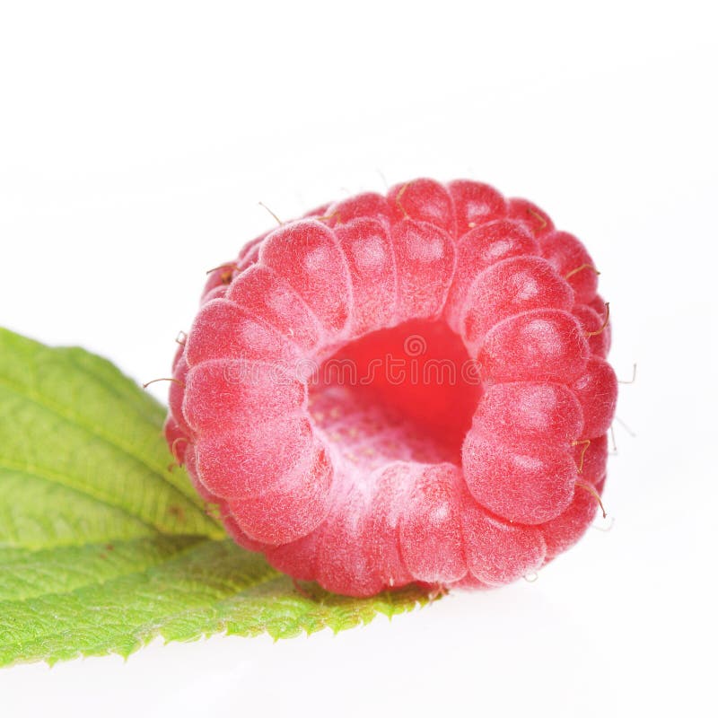 Raspberries stock image. Image of ingredient, fruit, organic - 32498025