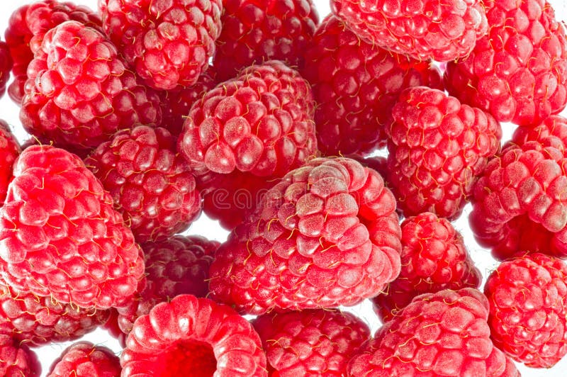 Raspberries stock photo. Image of macro, sweet, ripe - 30460038