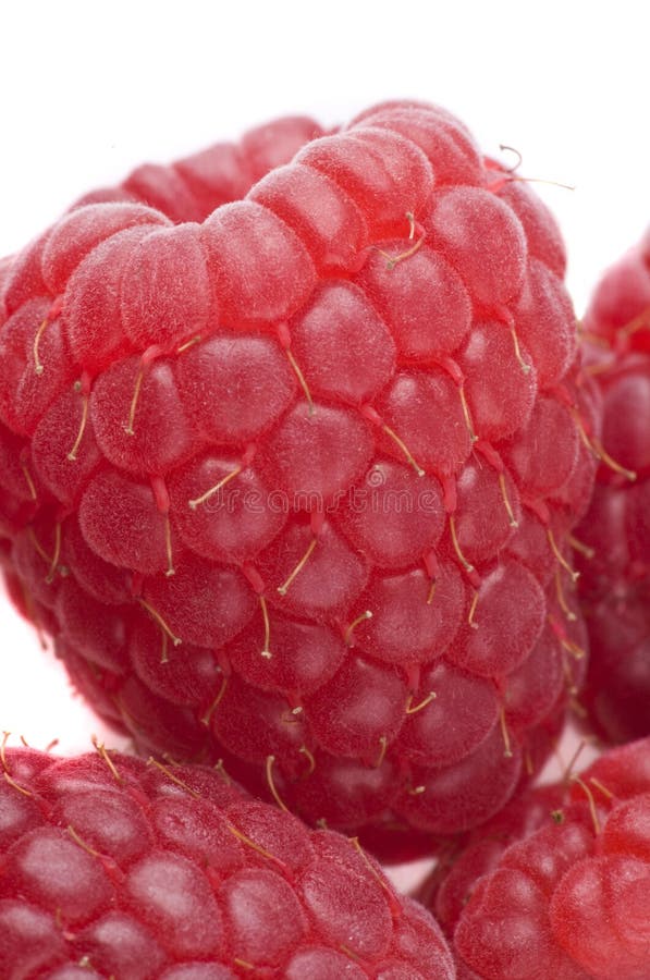 Raspberries on a White Background Stock Photo - Image of large, objects ...