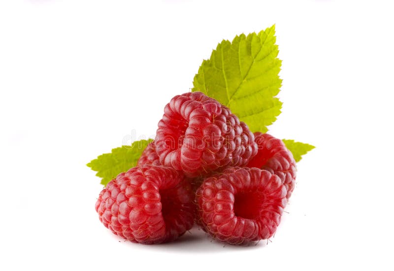 Raspberries on the White Background Stock Photo - Image of raspberry ...