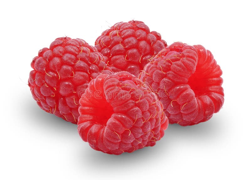 Raspberries stock photo. Image of dessert, healthy, raspberries - 40697240