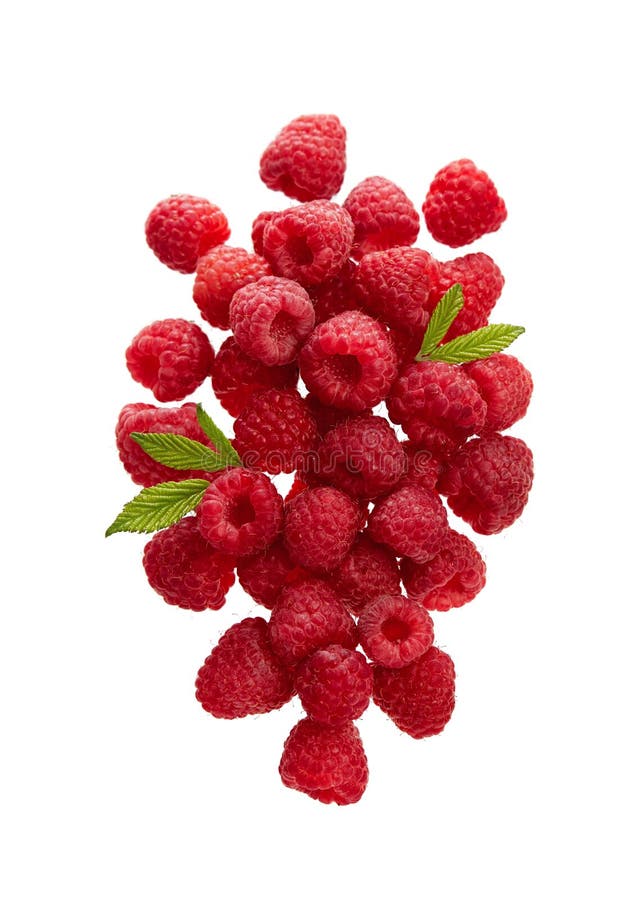 Raspberries stock photo. Image of antioxidant, berry - 32711942