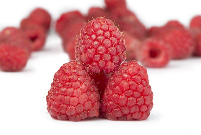 Raspberry stock image. Image of juicy, raspberries, close - 165207