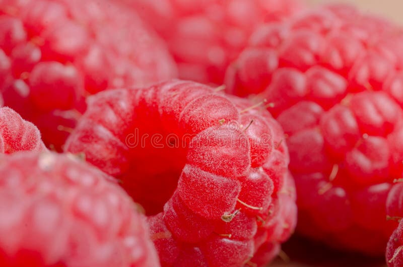 Raspberries stock photo. Image of healthy, berry, raspberry - 25948926