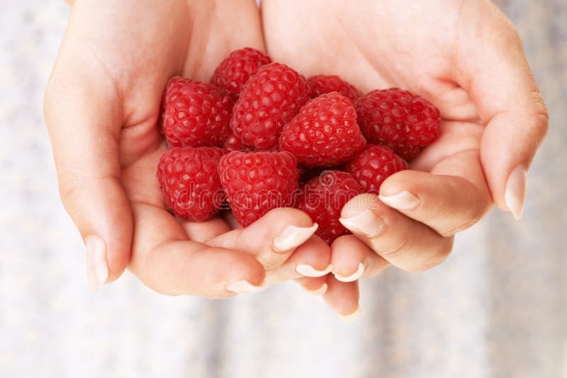 Raspberries for You...Cropped Image a Womans Hands Holding a Bunch of ...