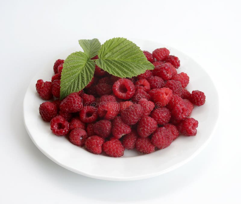Raspberry stock image. Image of plants, gardening, biology - 56477503