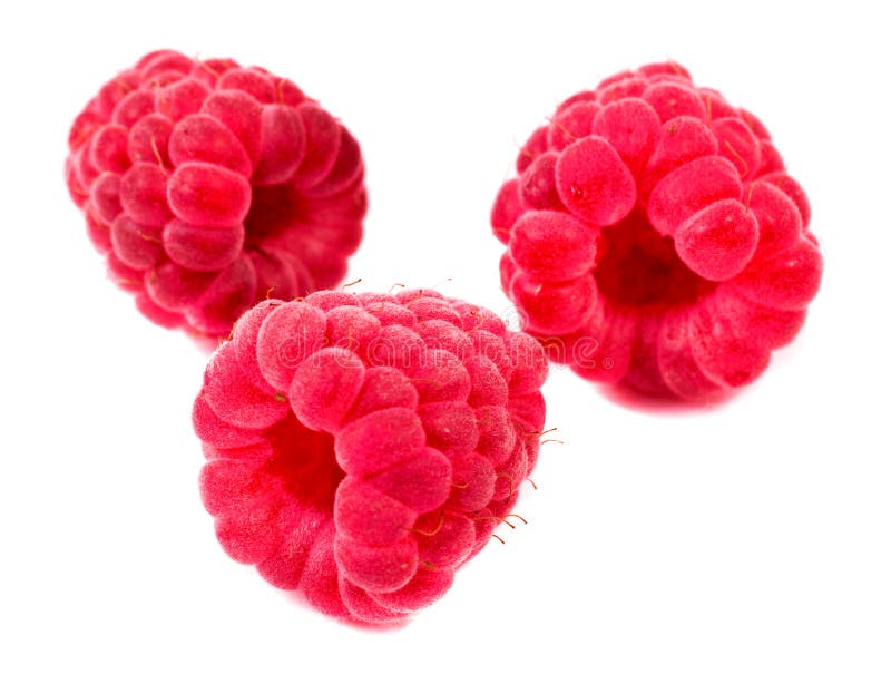 Raspberry stock photo. Image of taste, flavor, sweet - 11589966