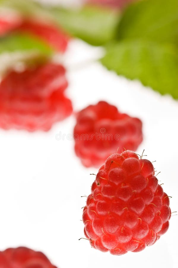 Raspberry stock image. Image of dessert, ripe, nutrition - 11796929