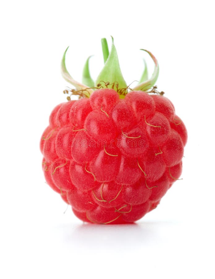 Raspberry stock photo. Image of berry, eating, healthy - 7436308