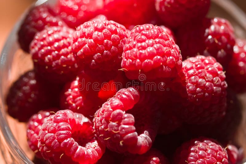 Raspberry stock image. Image of tasty, fruit, fresh, raspberry - 13747091