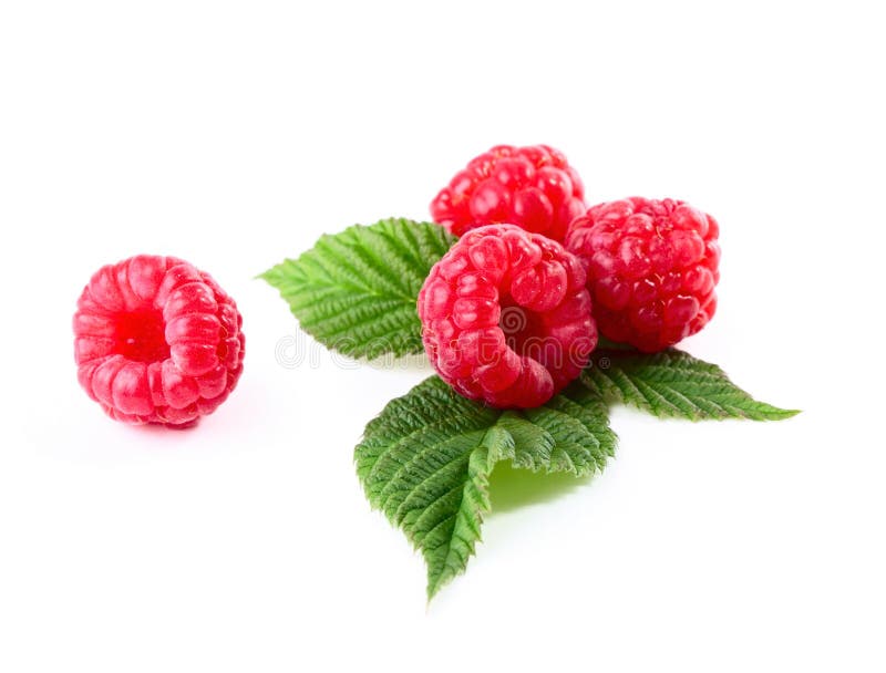 Raspberries stock photo. Image of freshness, diet, ingredient - 10450970