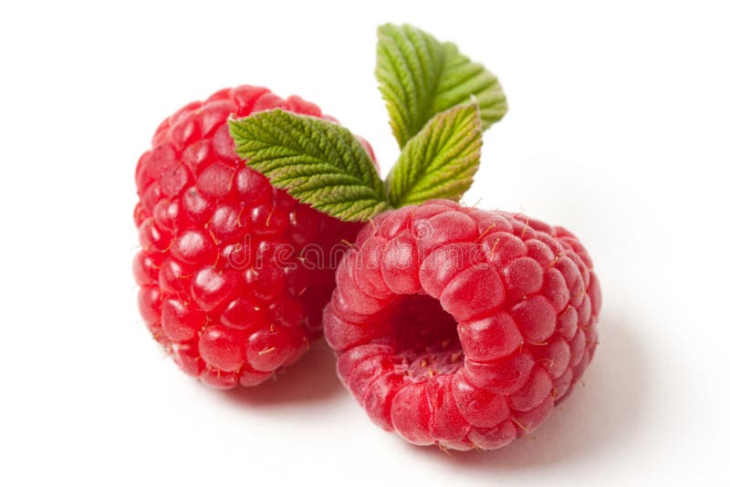 Raspberry stock image. Image of closeup, gourmet, dessert - 15595941