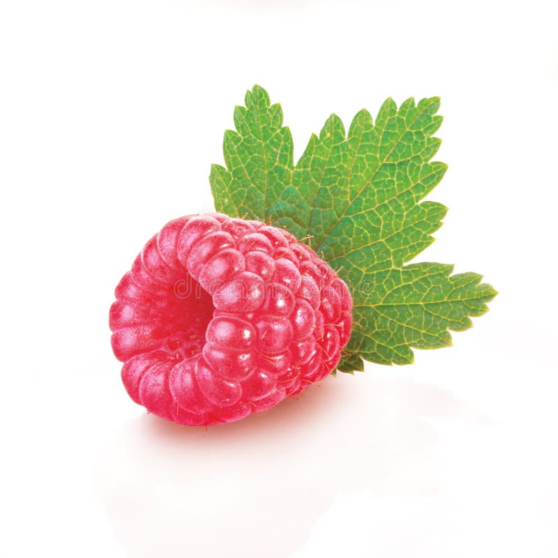 Raspberry stock image. Image of fresh, healthy, fruity - 15595967