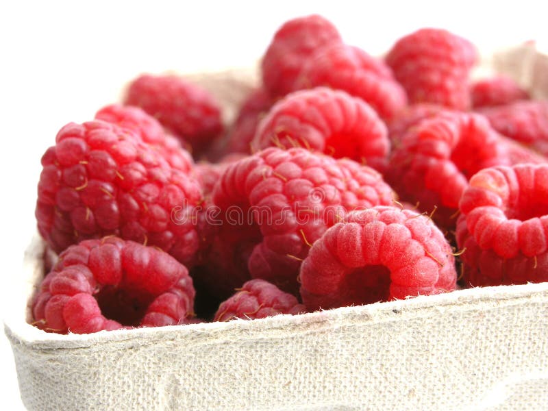 Raspberry stock photo. Image of fresh, outdoor, berries - 268678