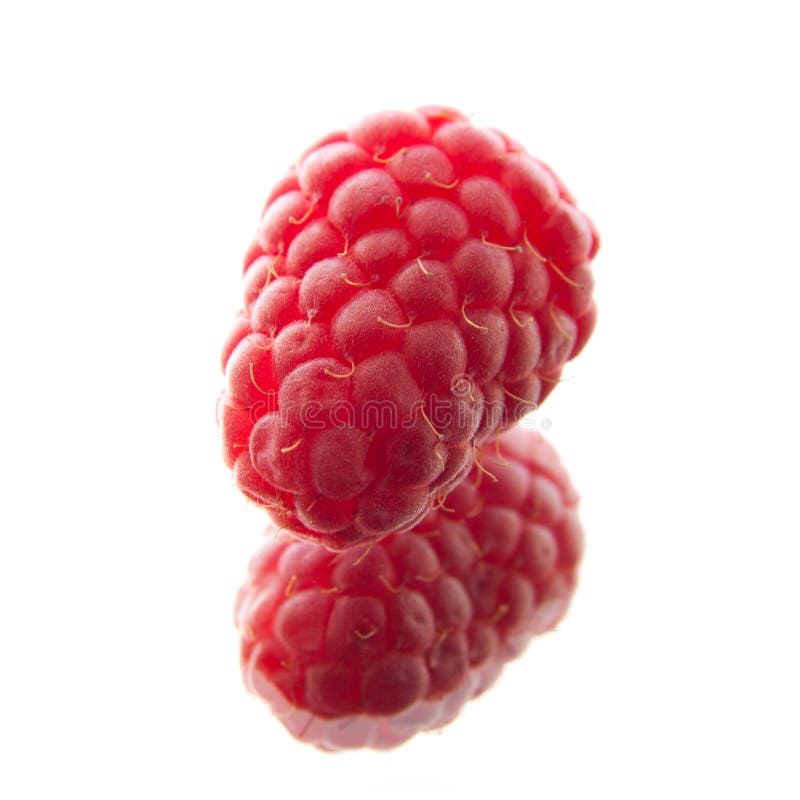 Raspberry stock photo. Image of white, soft, isolated - 20108122