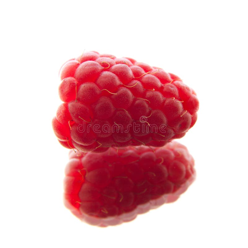 Raspberry stock image. Image of juicy, food, soft, raspberry - 20108139