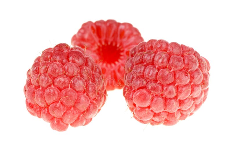 Red raspberry stock image. Image of white, raspberry, raspberries - 1860971