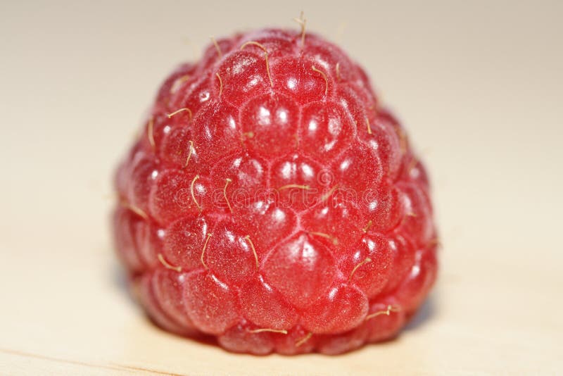 Raspberry Picture. Image: 2279150