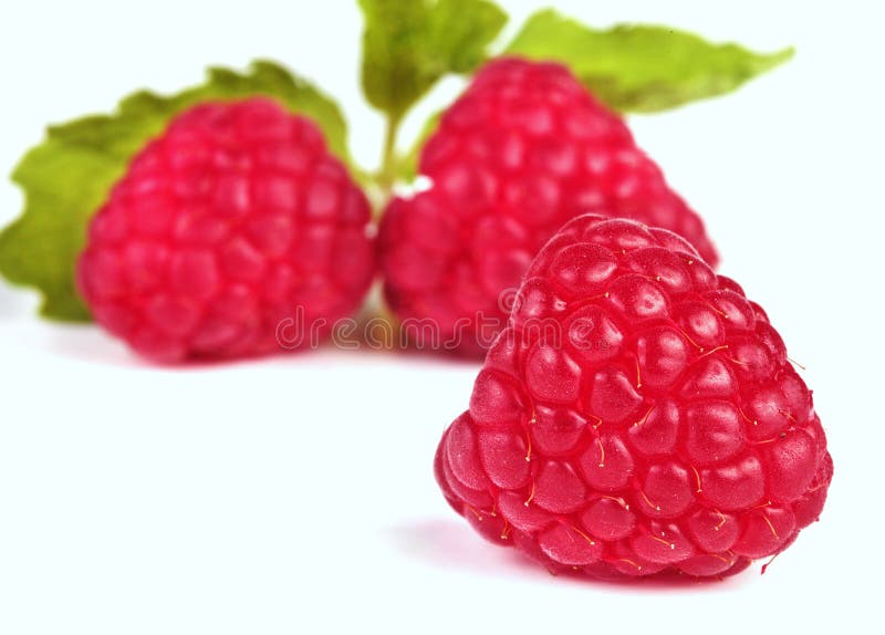 Raspberry stock image. Image of berry, ripe, vitamins - 30460087