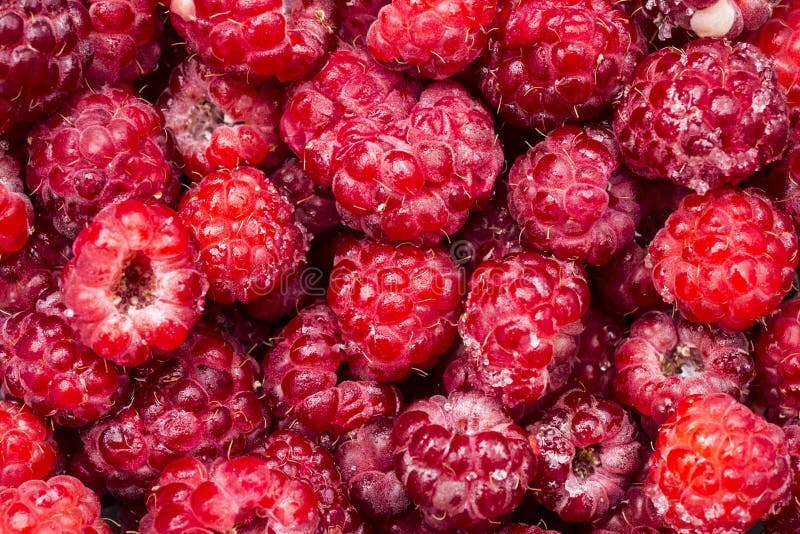 Raspberry stock image. Image of health, foliage, close - 25397295