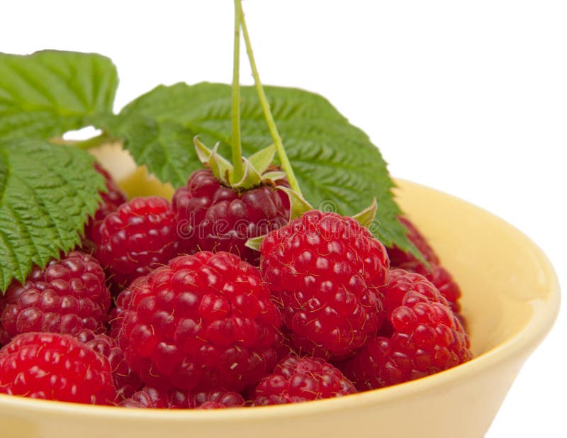 Raspberry stock image. Image of juicy, leaf, nature, raspberry - 26733621
