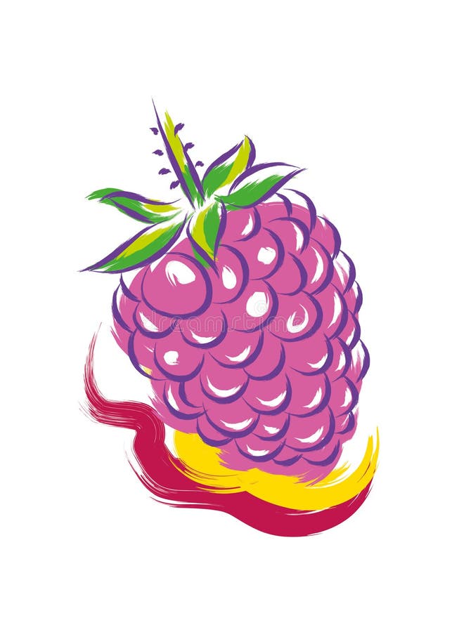 Framboos Stock Illustrations – 1 Framboos Stock Illustrations, Vectors ...