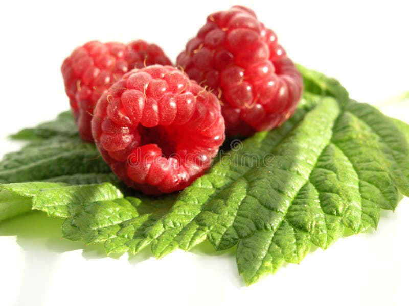 Raspberry stock photo. Image of fresh, outdoor, berries - 268678