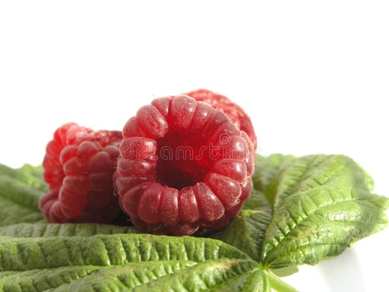 Raspberry stock photo. Image of fresh, outdoor, berries - 268678