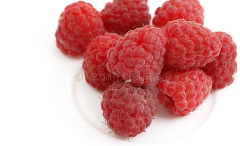 Raspberries stock photo. Image of fruit, food, fruits - 22722154