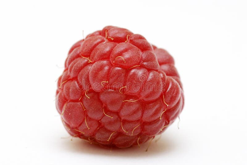10,116 Single Raspberry Stock Photos - Free & Royalty-Free Stock Photos ...