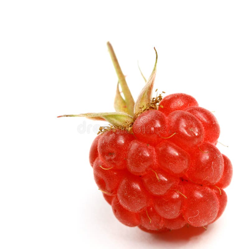 Raspberry stock image. Image of natural, flavor, berry - 6354507