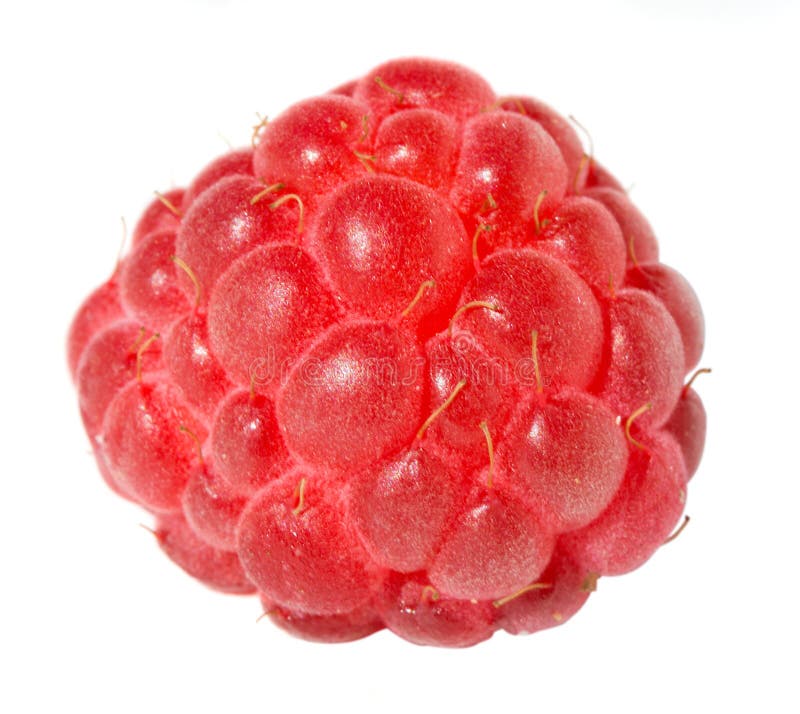 Raspberry Picture. Image: 6033338
