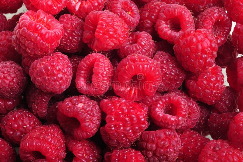 Raspberry stock image. Image of fruits, vitamins, detail - 20366185