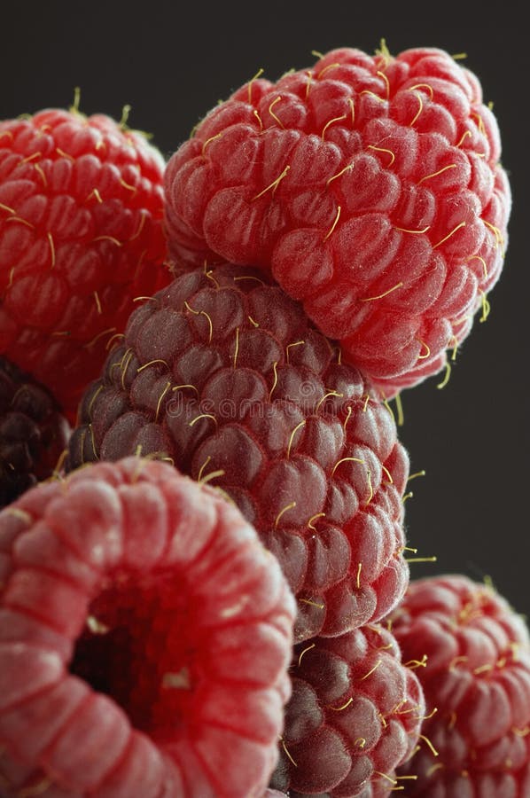 Raspberry stock photo. Image of health, dessert, macro - 876770
